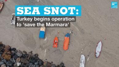 Sea snot: Turkey begins operation to 'save the Marmara' - France 24